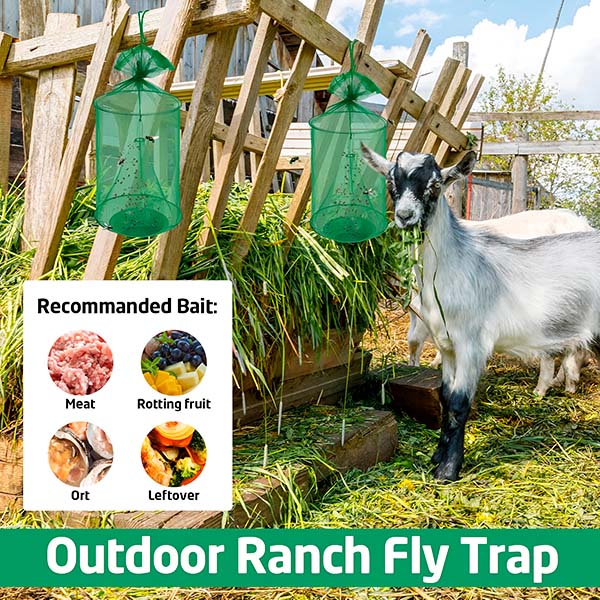 Herbruikbare, hangende vliegen- en insectenval | INSECTA – Frilla.nl