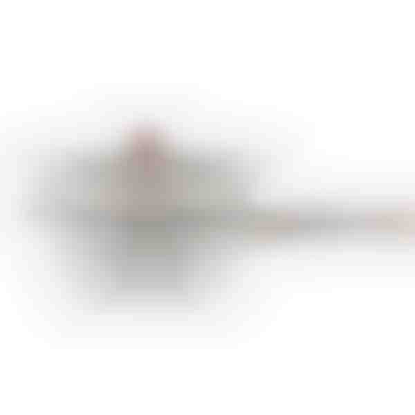 Elektrische braadpan | PANMAX – Frilla.nl